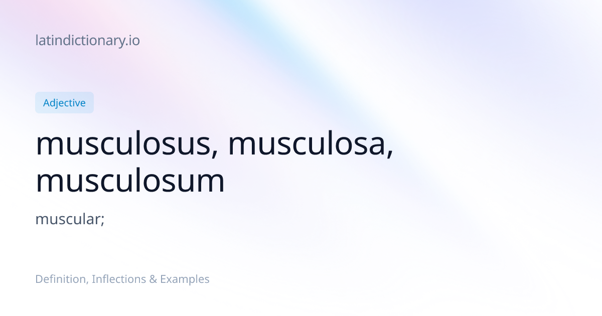 musculosus: Latin Definition, Inflections, and Examples ...